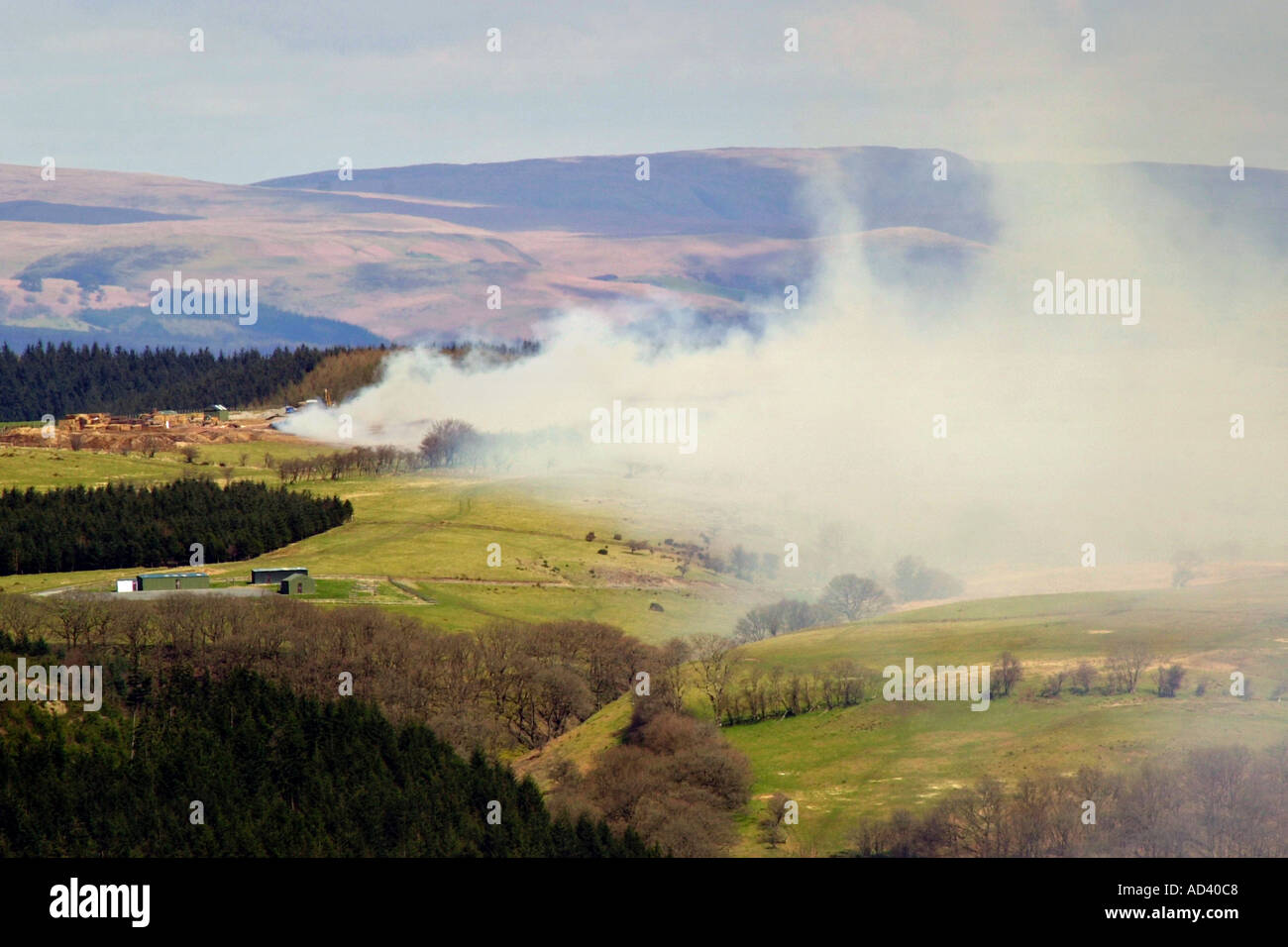 Pyre of sheep and cattle carcasses with suspected foot and mouth ...