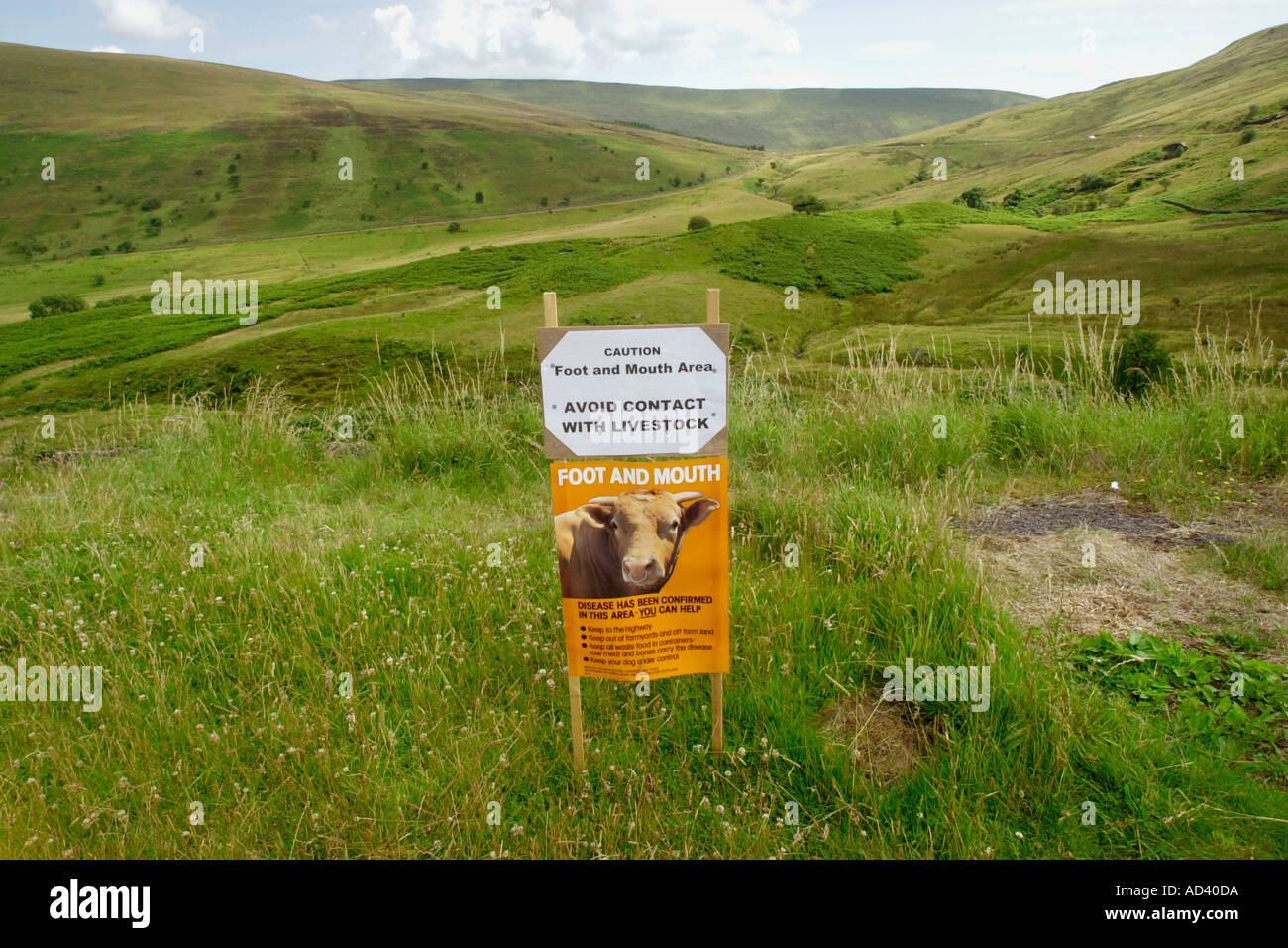 Foot and mouth sign in countryside in the Brecon Beacons Powys Wales UK ...