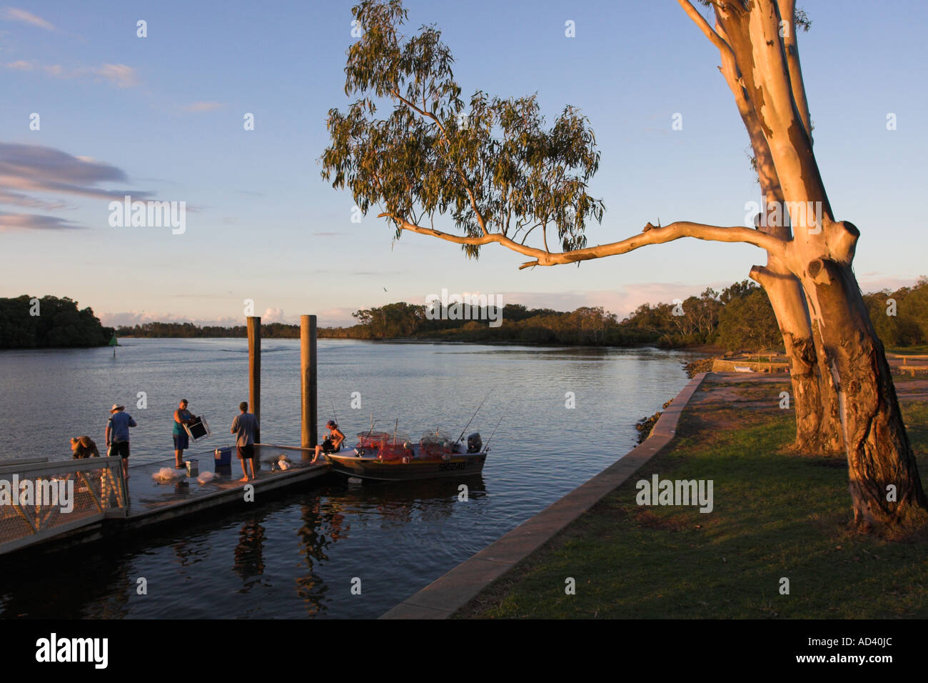 Tinchi tamba hi-res stock photography and images - Alamy