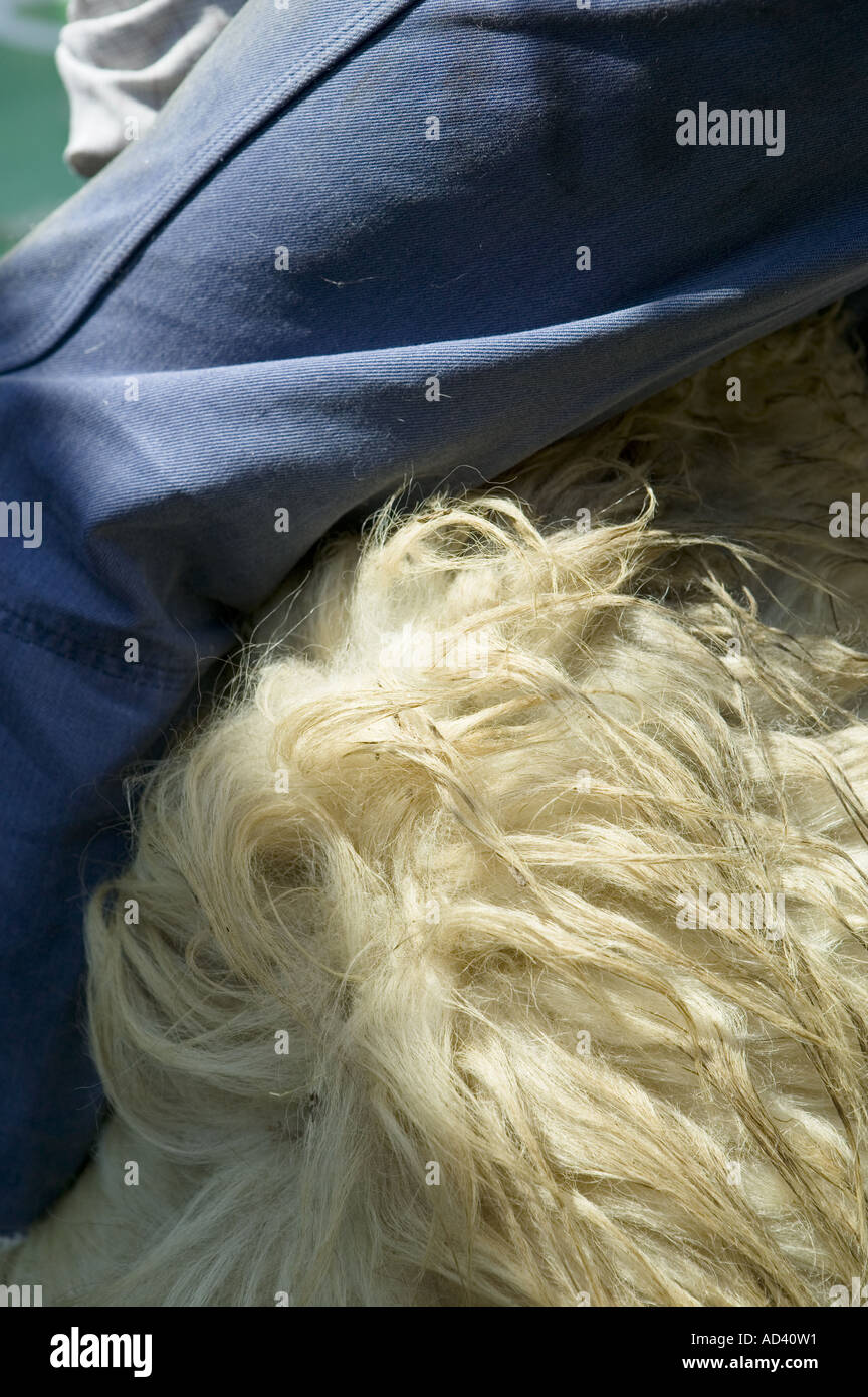 Shear legs hi-res stock photography and images - Alamy