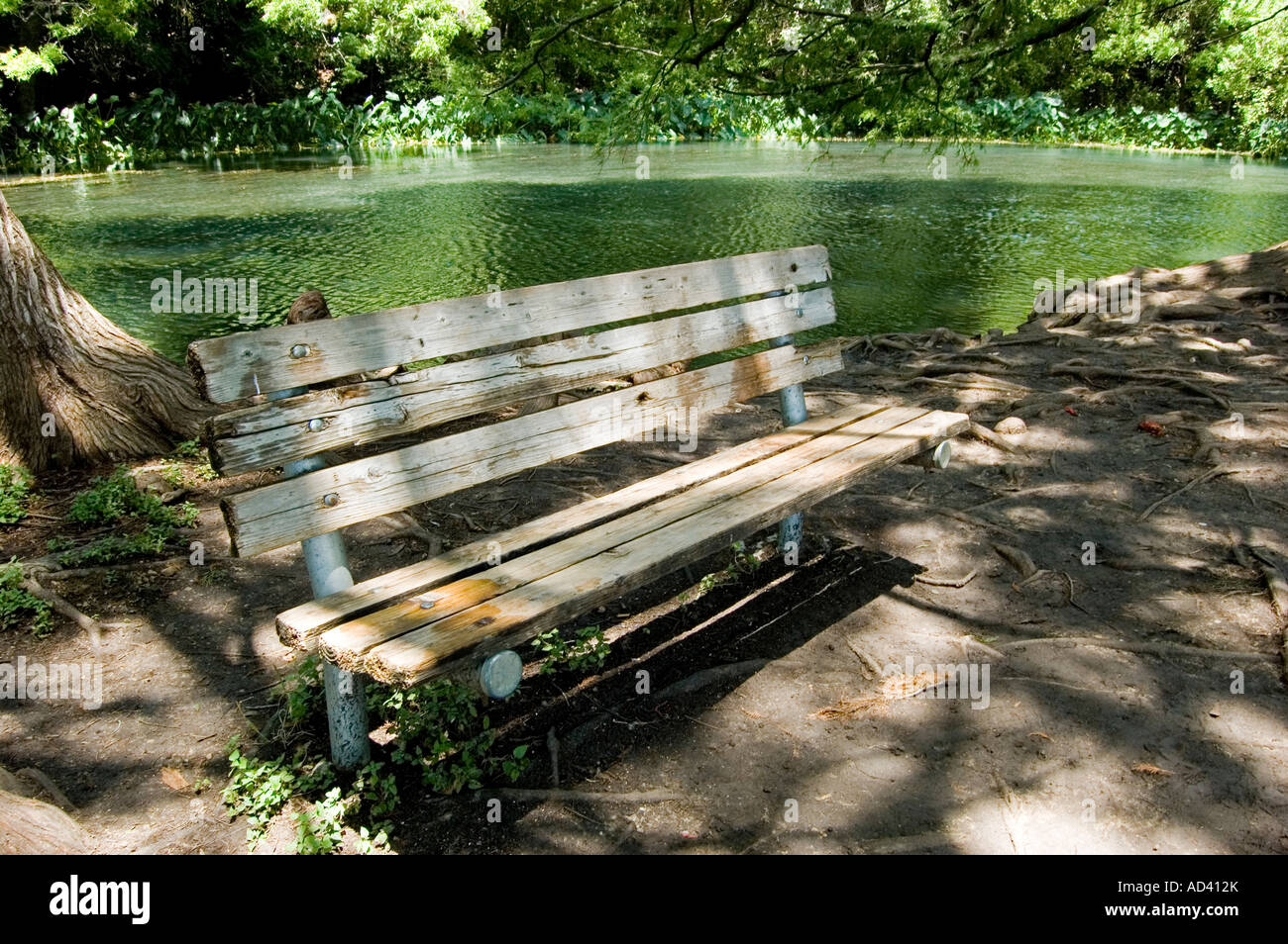Shady river tranquility Stock Photo - Alamy