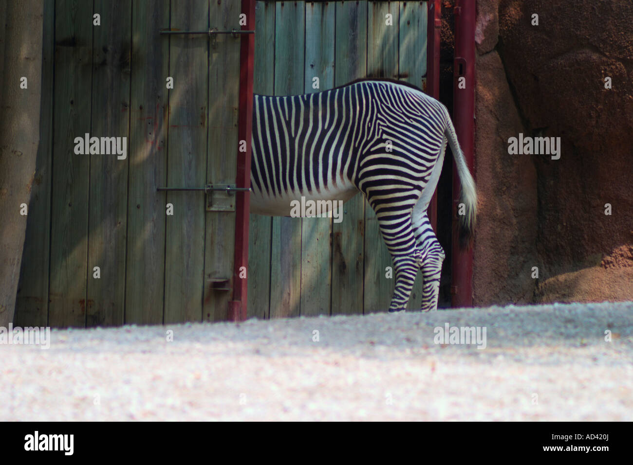 Rear_end hi-res stock photography and images - Alamy