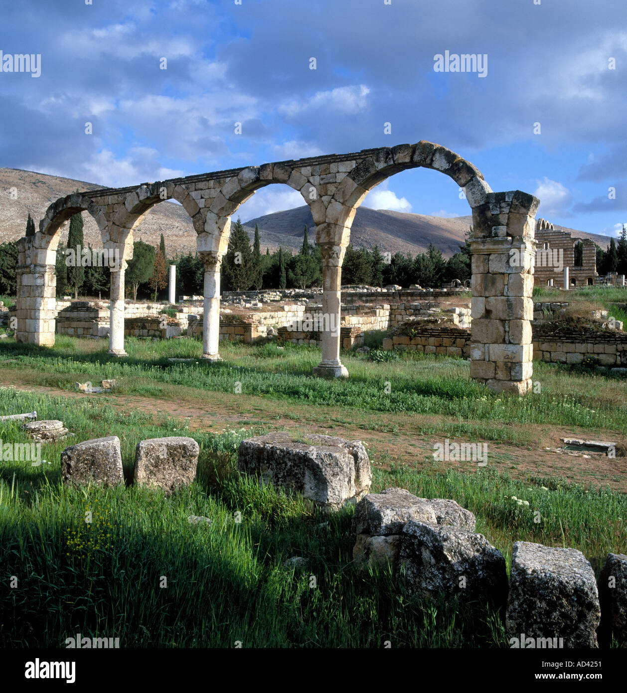 Bekka hi-res stock photography and images - Alamy