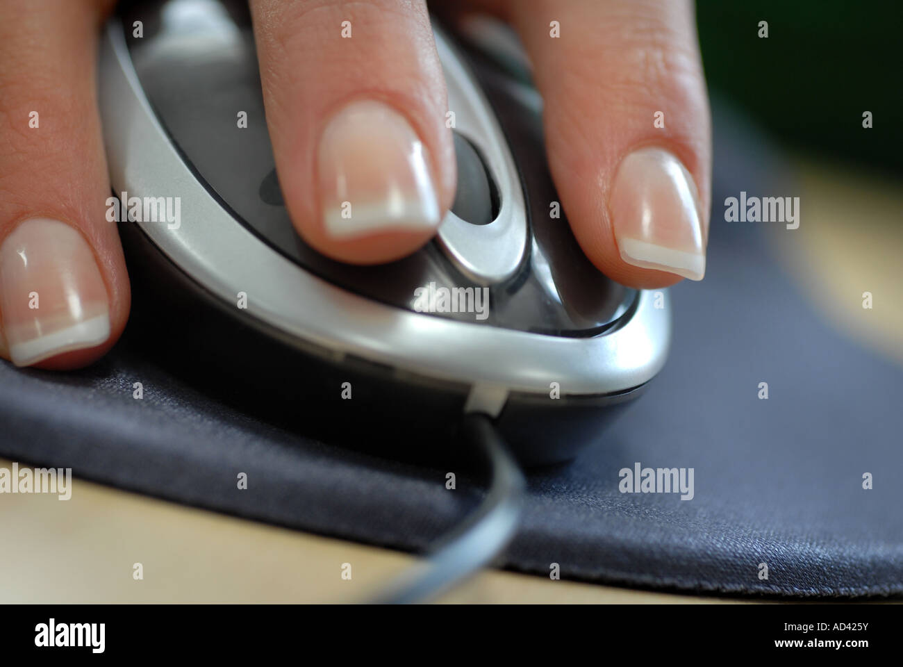 Womans hand using a computer mouse with scroll wheel in an office Stock ...