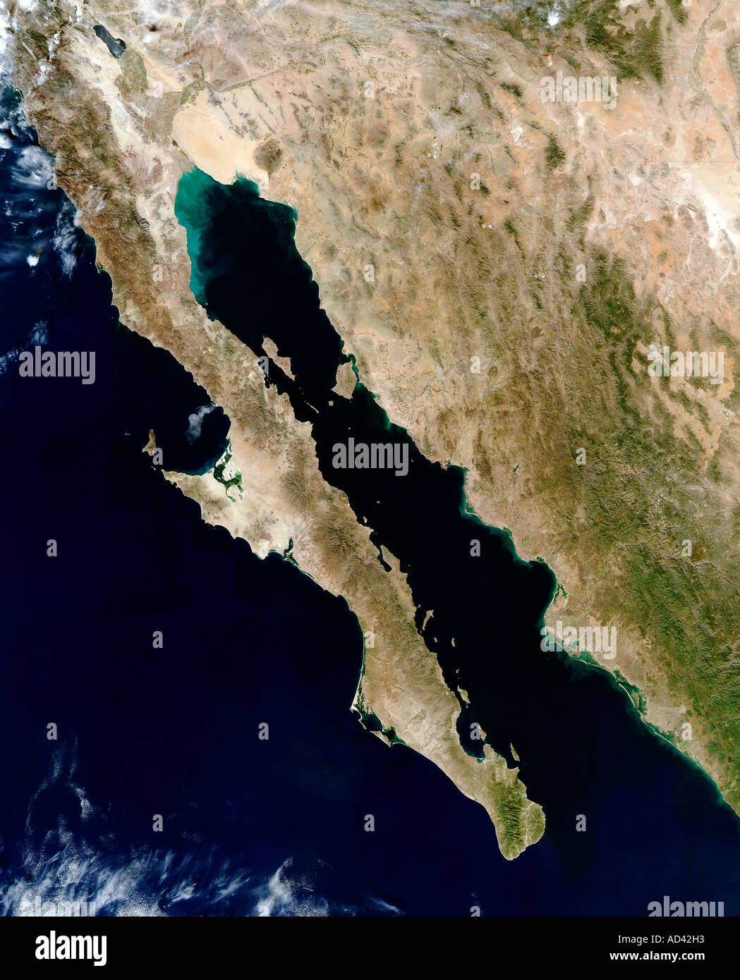 Map Of Gulf Of California