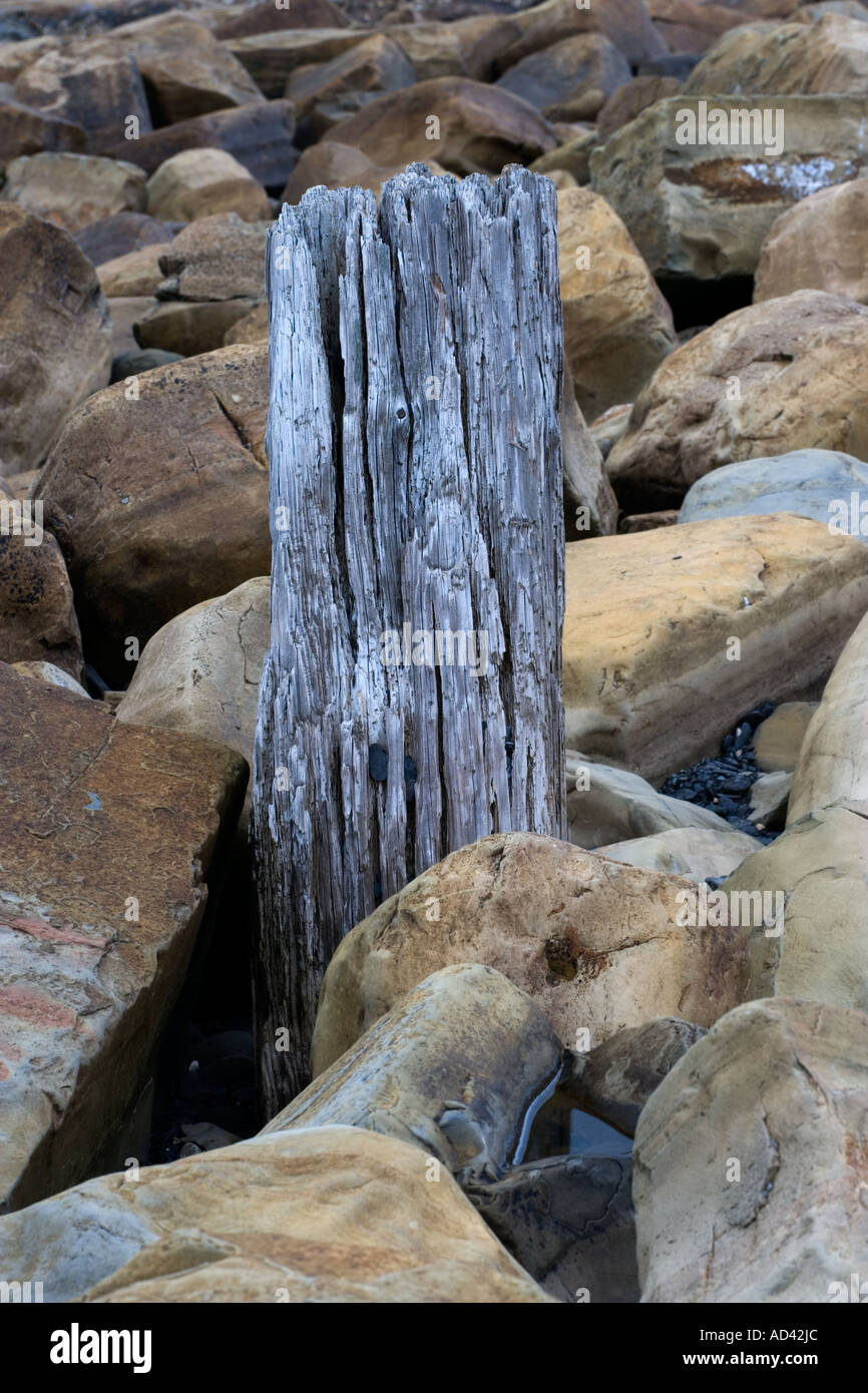 Rotting timber pier hi-res stock photography and images - Alamy