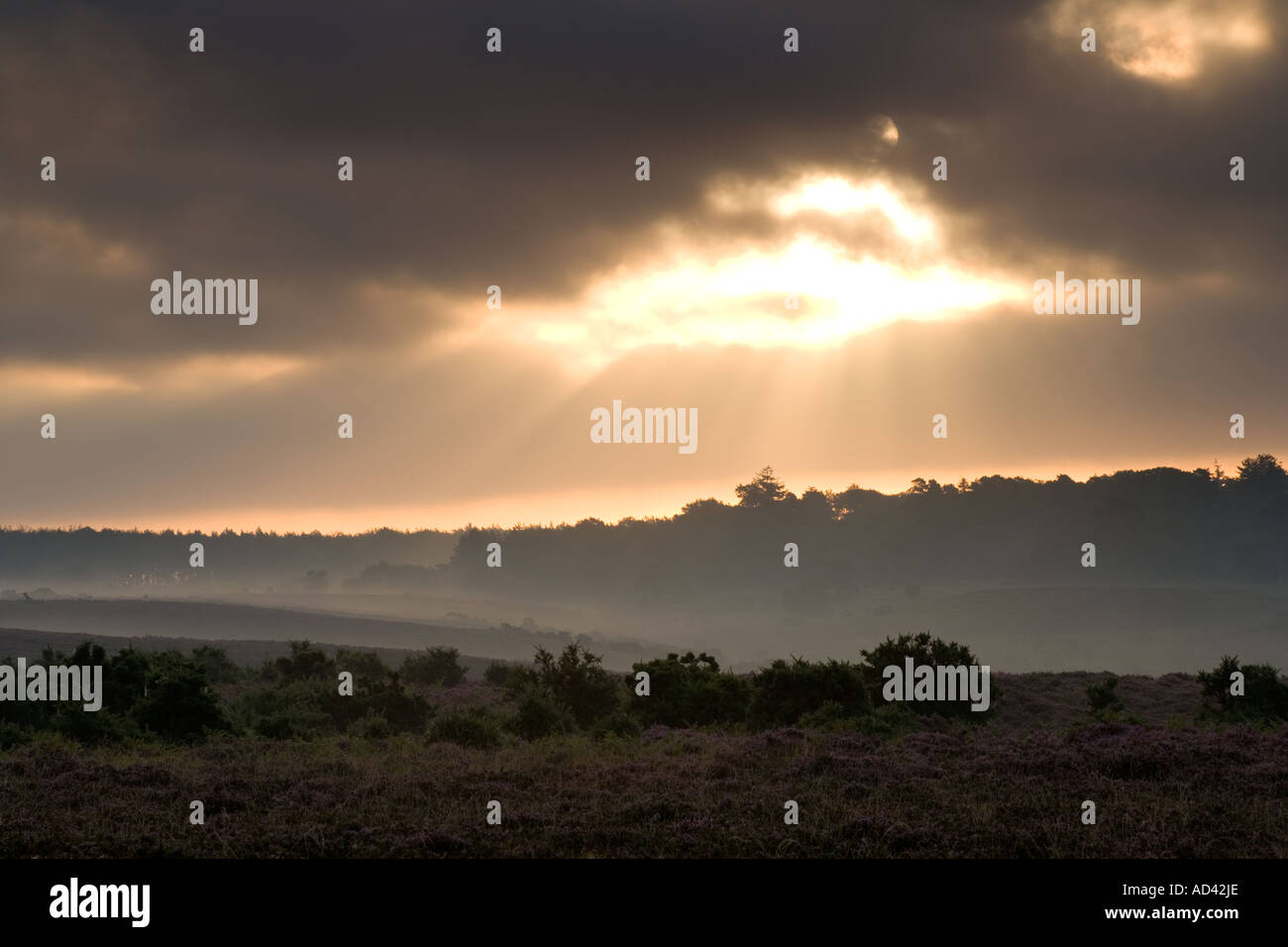 Jacobs ladders hi-res stock photography and images - Alamy