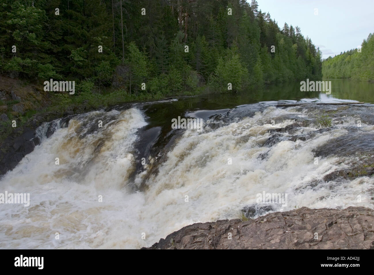 Kivach most famous waterfall, Karelia , Russia Stock Photo - Alamy