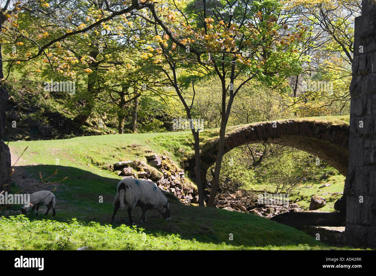 Cowgill uk hi-res stock photography and images - Alamy