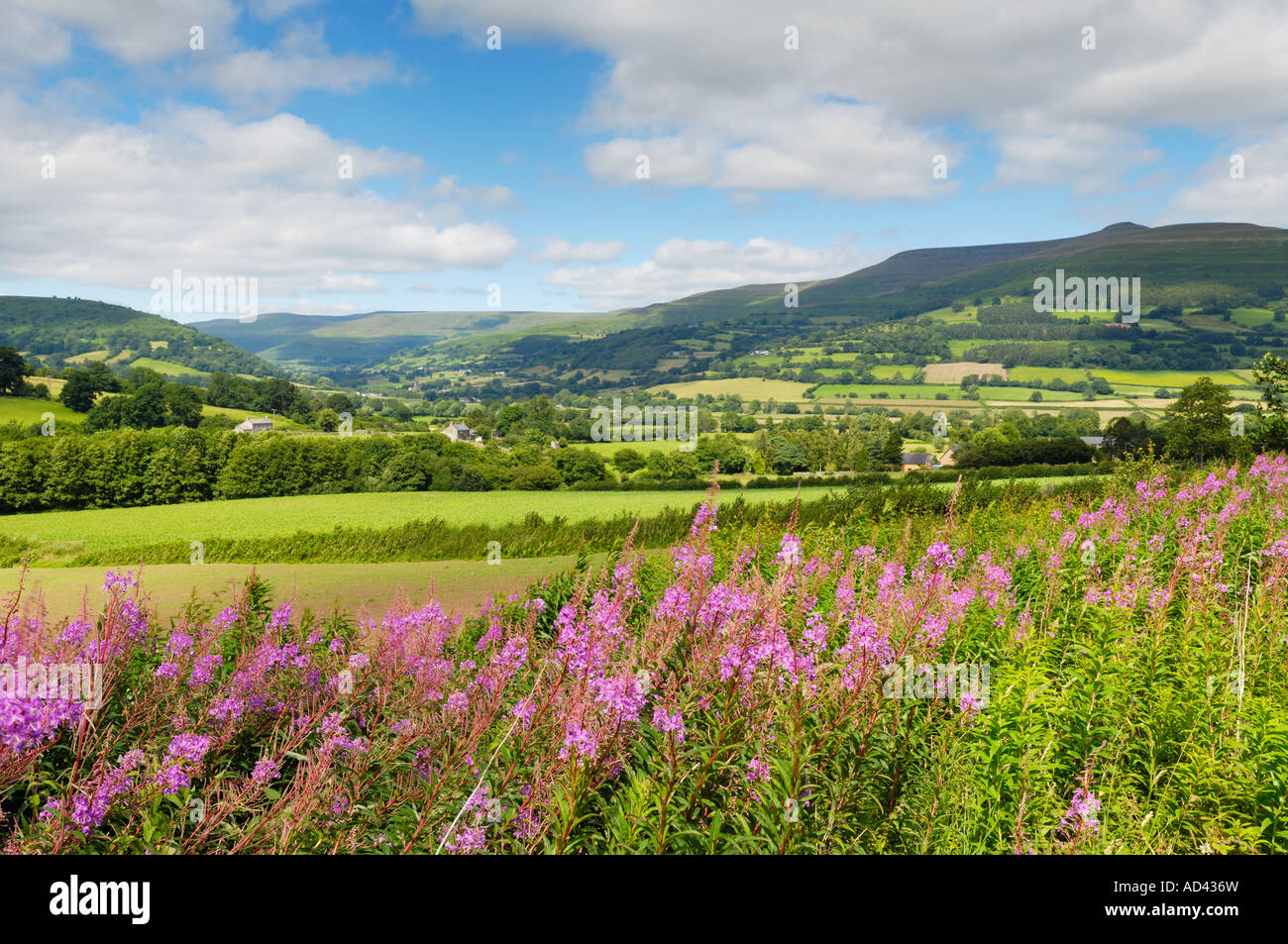 The Usk Valley near Crickhowell in the Bannau Brycheiniog (Brecon ...