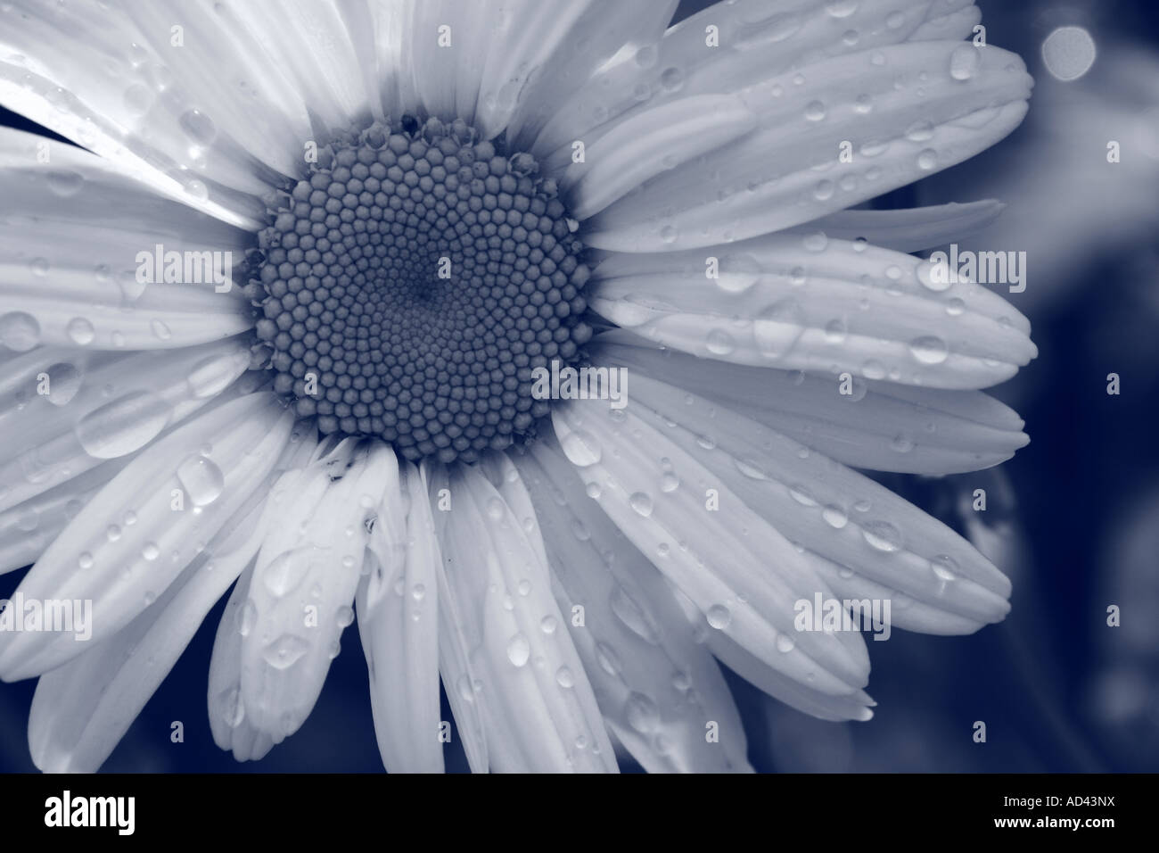 Brief shower hi-res stock photography and images - Alamy