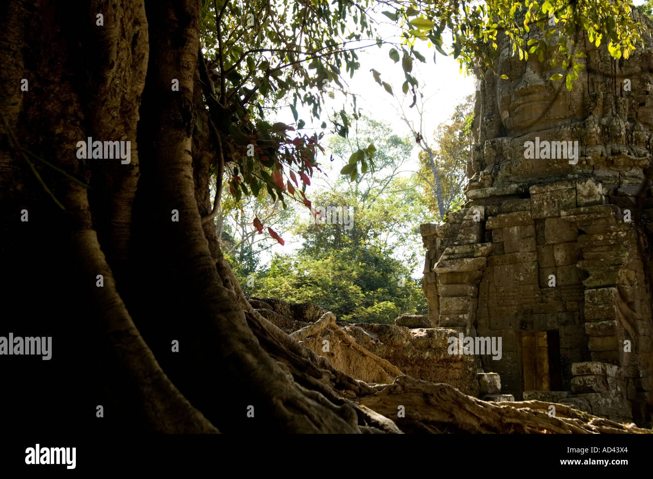 Angkor wat temple head hi-res stock photography and images - Alamy