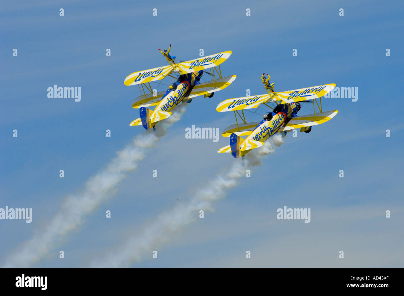 Bi wing hi-res stock photography and images - Alamy
