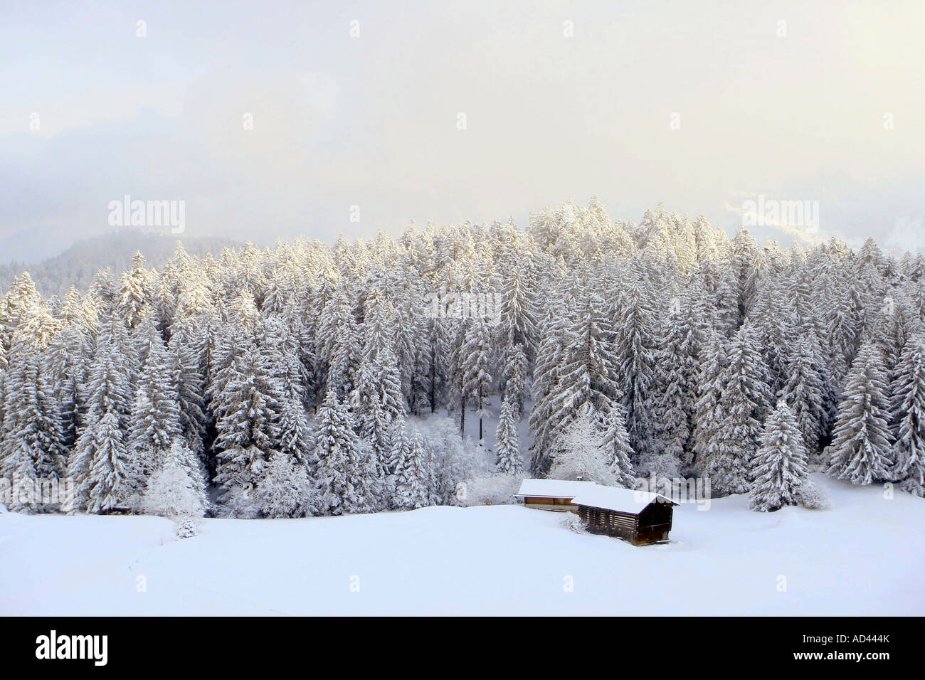 A Snowy mountain scene in Switzerland Stock Photo - Alamy