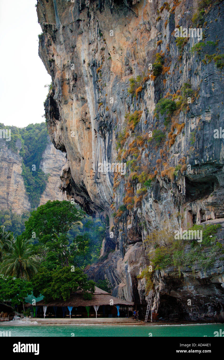 Rock climbing Tonsai Bay Phranang Krabi Thailand Stock Photo - Alamy