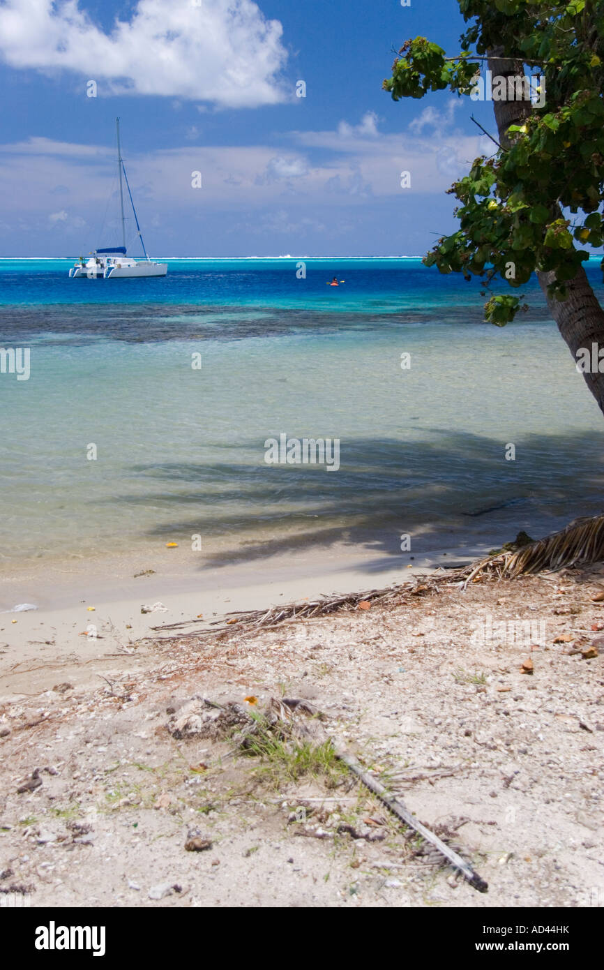 Catamaran in the coral reef lagoon the tropical island of Moorea French ...