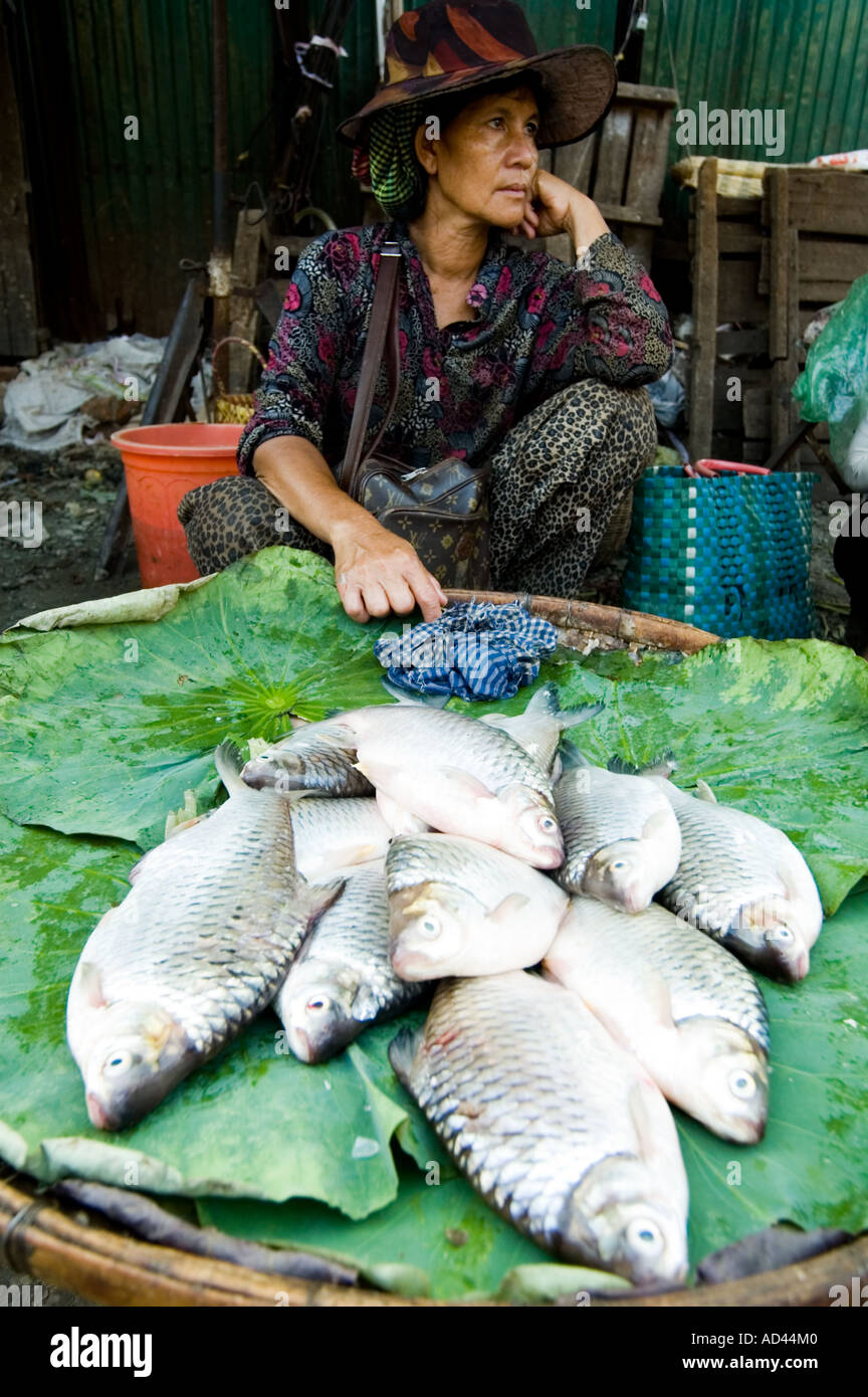 Selling freshly caught fish in Phnom Penh Stock Photo - Alamy