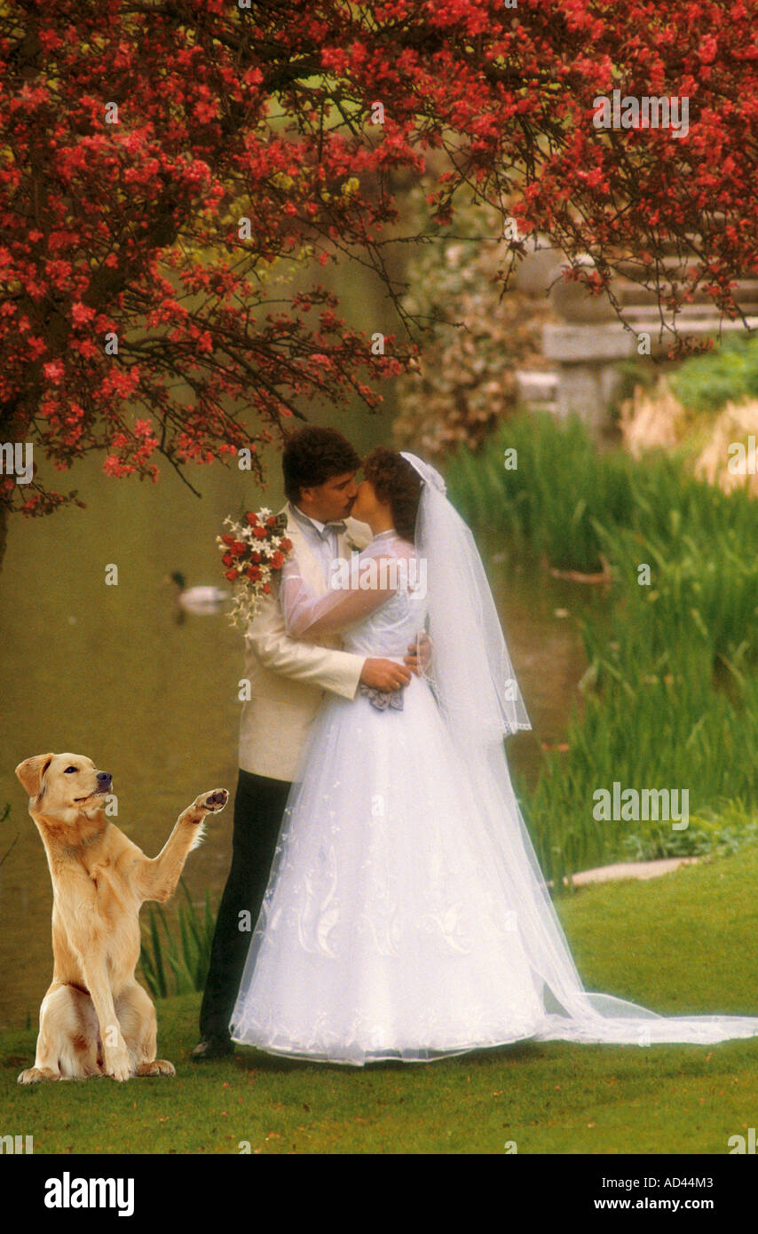 Couple kissing lift hi-res stock photography and images - Alamy