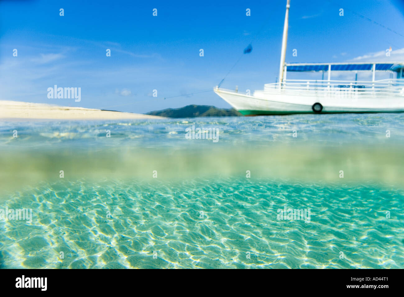 Angel flores hi-res stock photography and images - Alamy