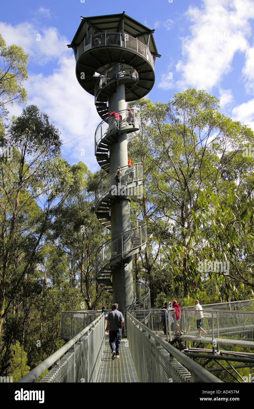 Baum top walk hi-res stock photography and images - Alamy