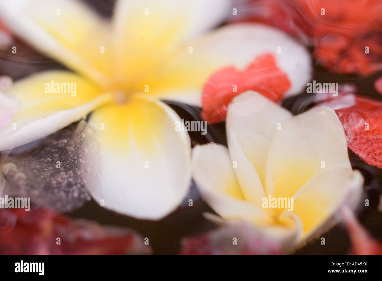 Flowers floating at Spa, Bali Stock Photo - Alamy
