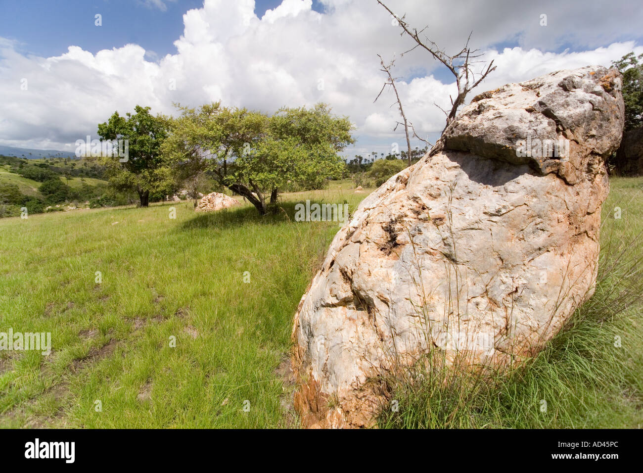 Landscape of Komodo, Land of the dragons Stock Photo - Alamy