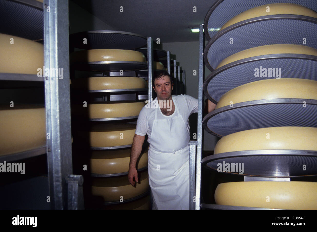 swiss cheese production storage emmental switzerland Stock Photo - Alamy