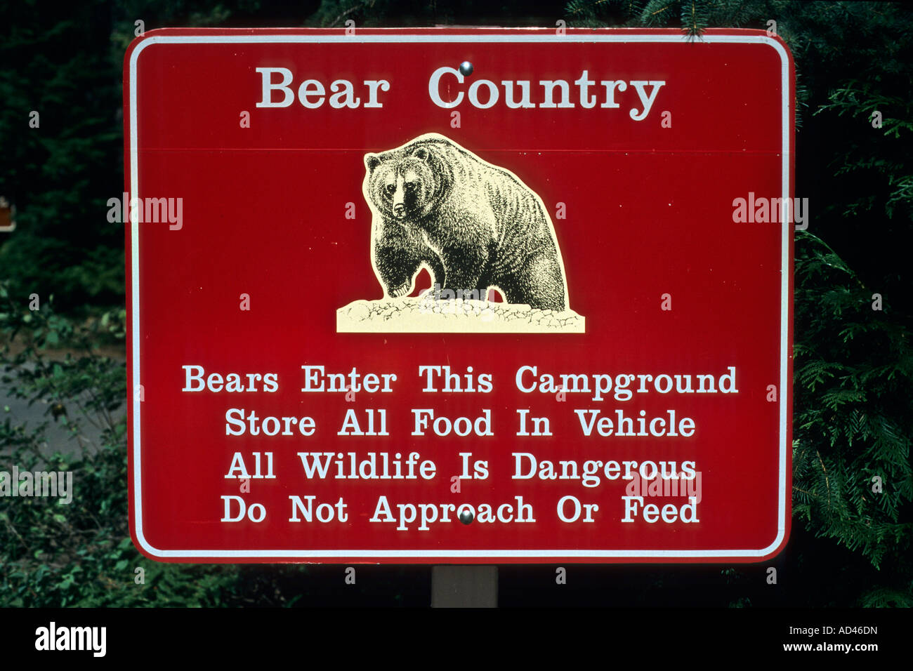 Warning sign Bear Country, Glacier National Park, Montana, United ...