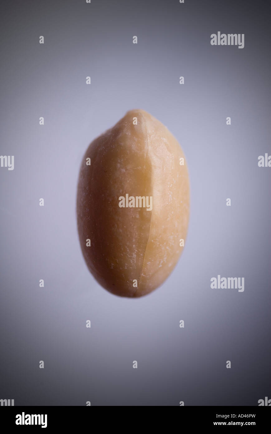 One single peanut Stock Photo - Alamy