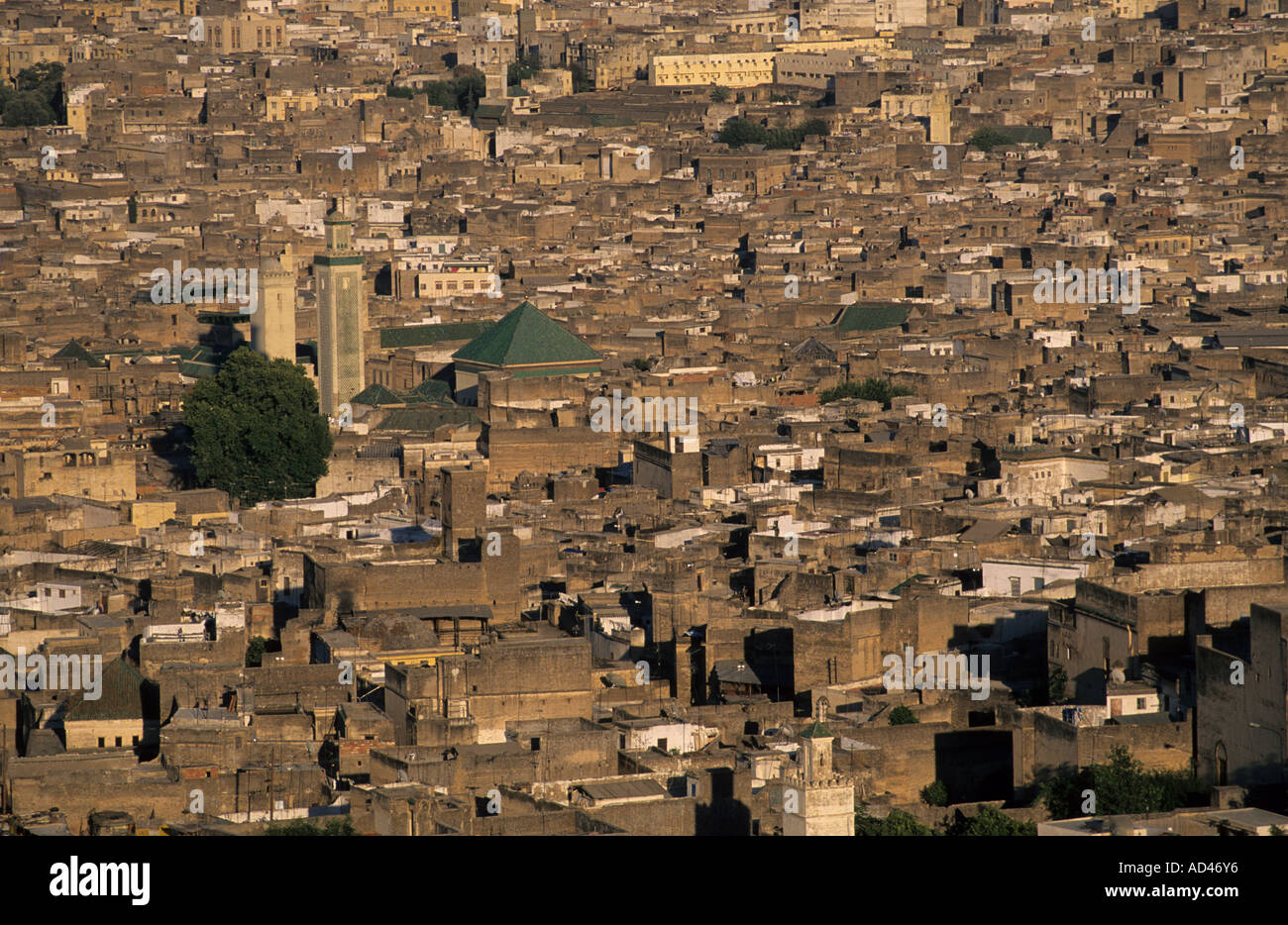 Conceptual fes hi-res stock photography and images - Alamy