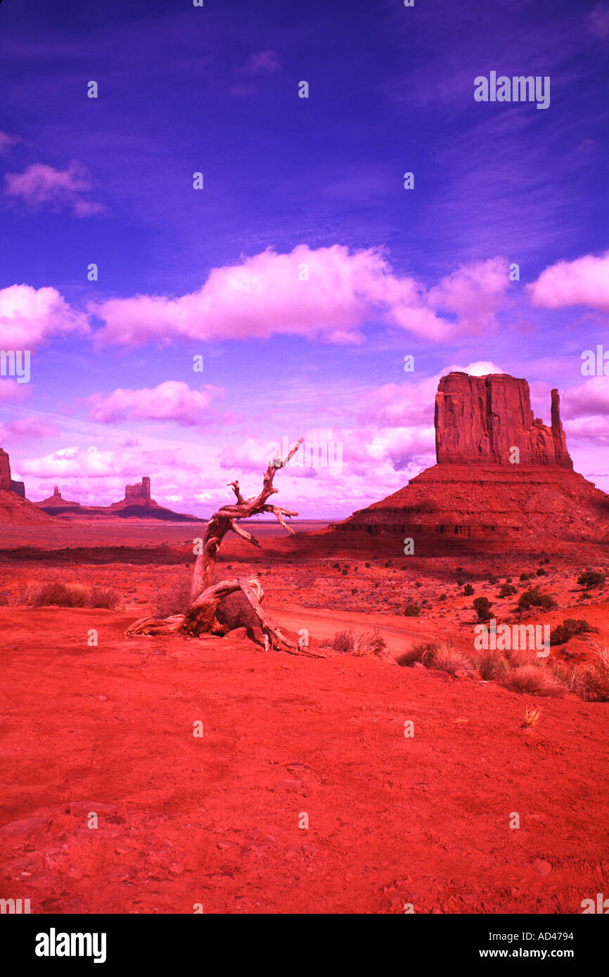 Travel in the West USA at the Mittens Monument Valley Utah Stock Photo ...