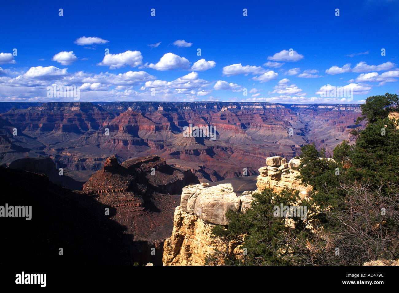 Famous South Rim Grand Canyon Arizona Stock Photo - Alamy