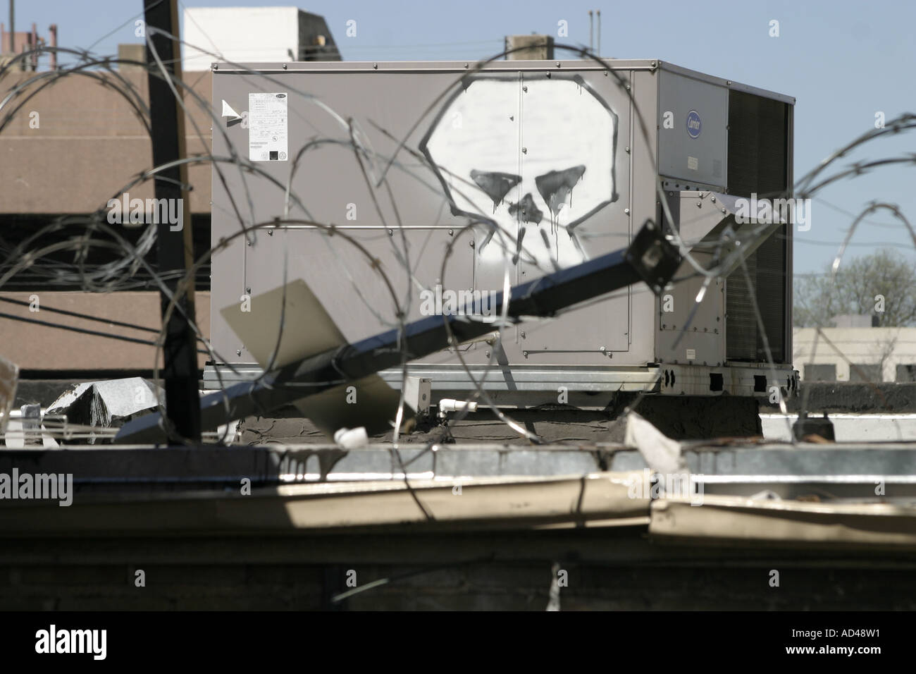 graffiti of a skill behind barbed wire Stock Photo - Alamy