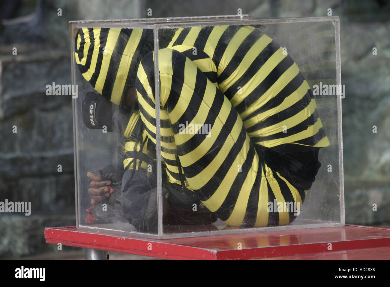 Contortionist in box hi-res stock photography and images - Alamy