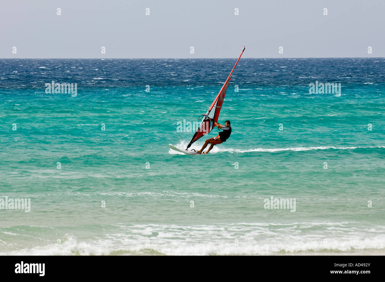 Windsurfer at the beach of Sotavento, Fuerteventura, Canary Islands ...