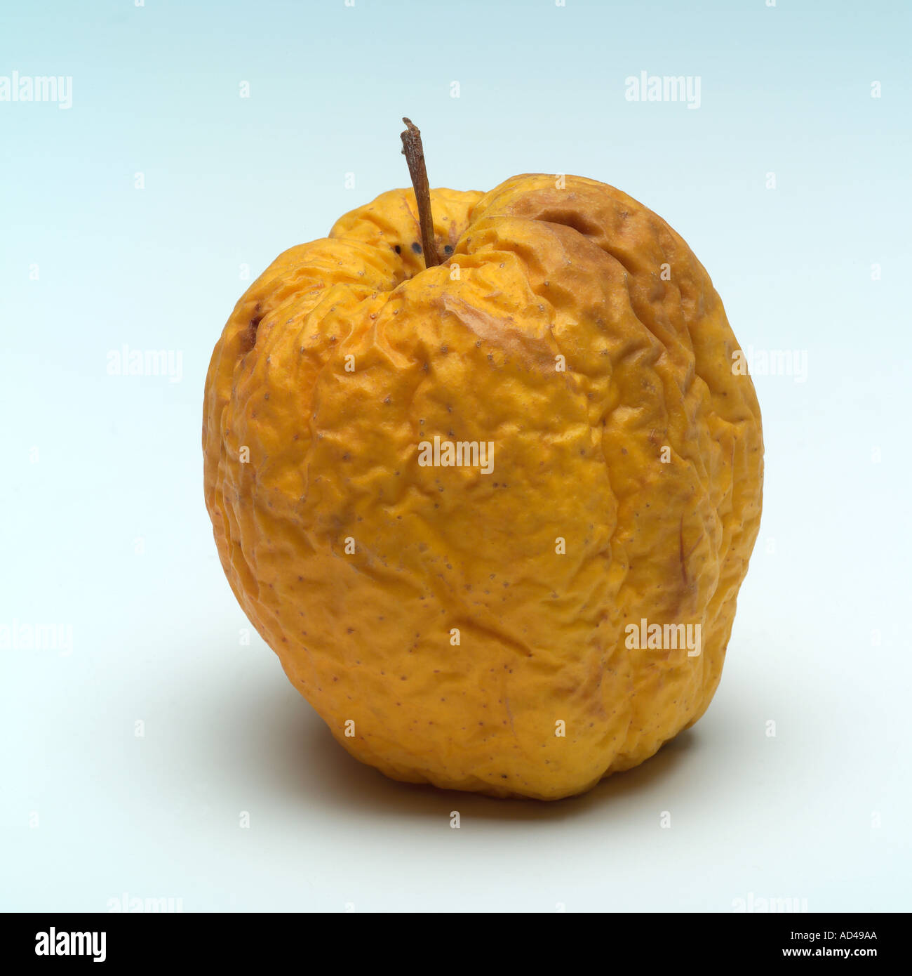 Wrinkled Golden Delicious apple Stock Photo - Alamy