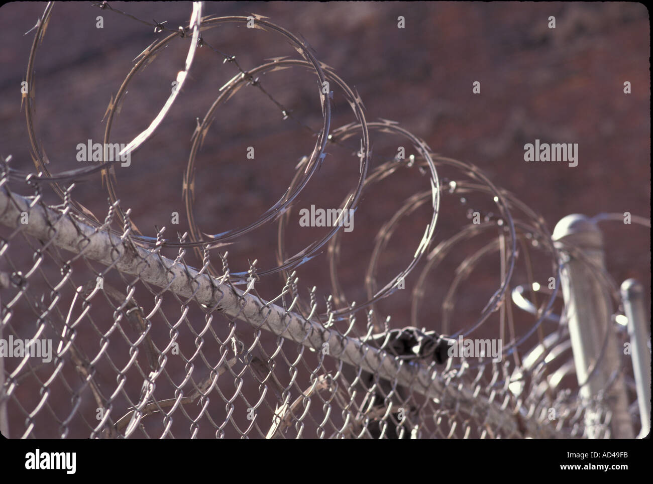 WIRE BARBED RAZOR WIRE RAZOR EDGE Stock Photo - Alamy