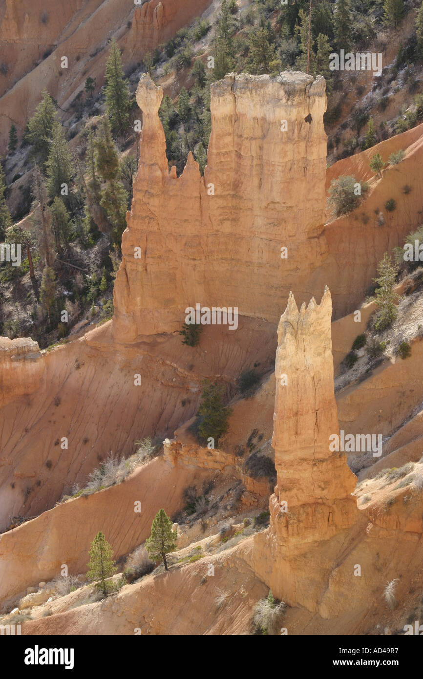 Hoodoos in Bryce Canyon tower over the trees Stock Photo - Alamy