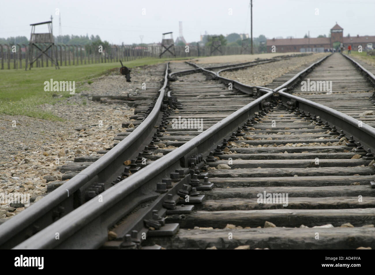Railroad Tracks at Auschwitz Birkenau, a German concentration camp in ...