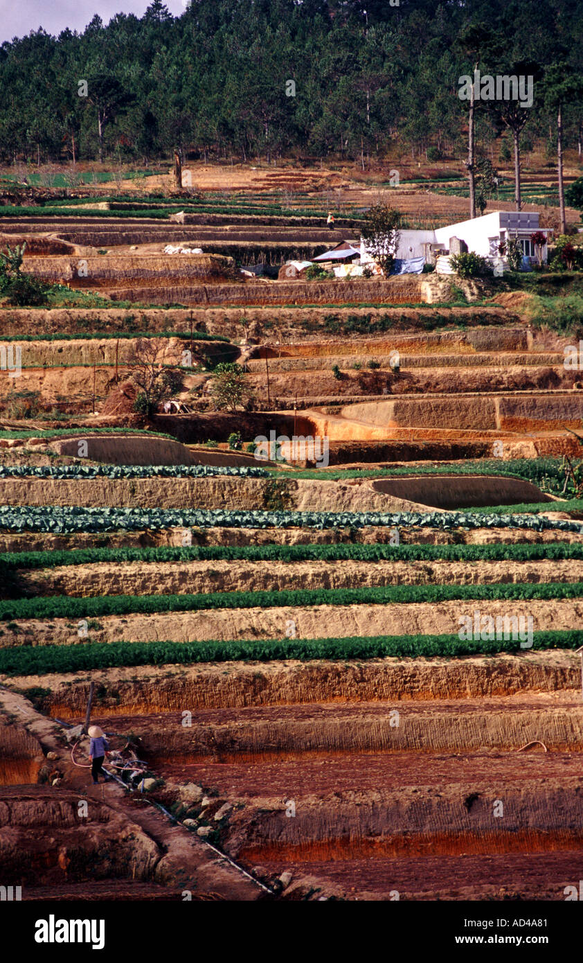 Rural valley landscape North Vietnam Stock Photo - Alamy