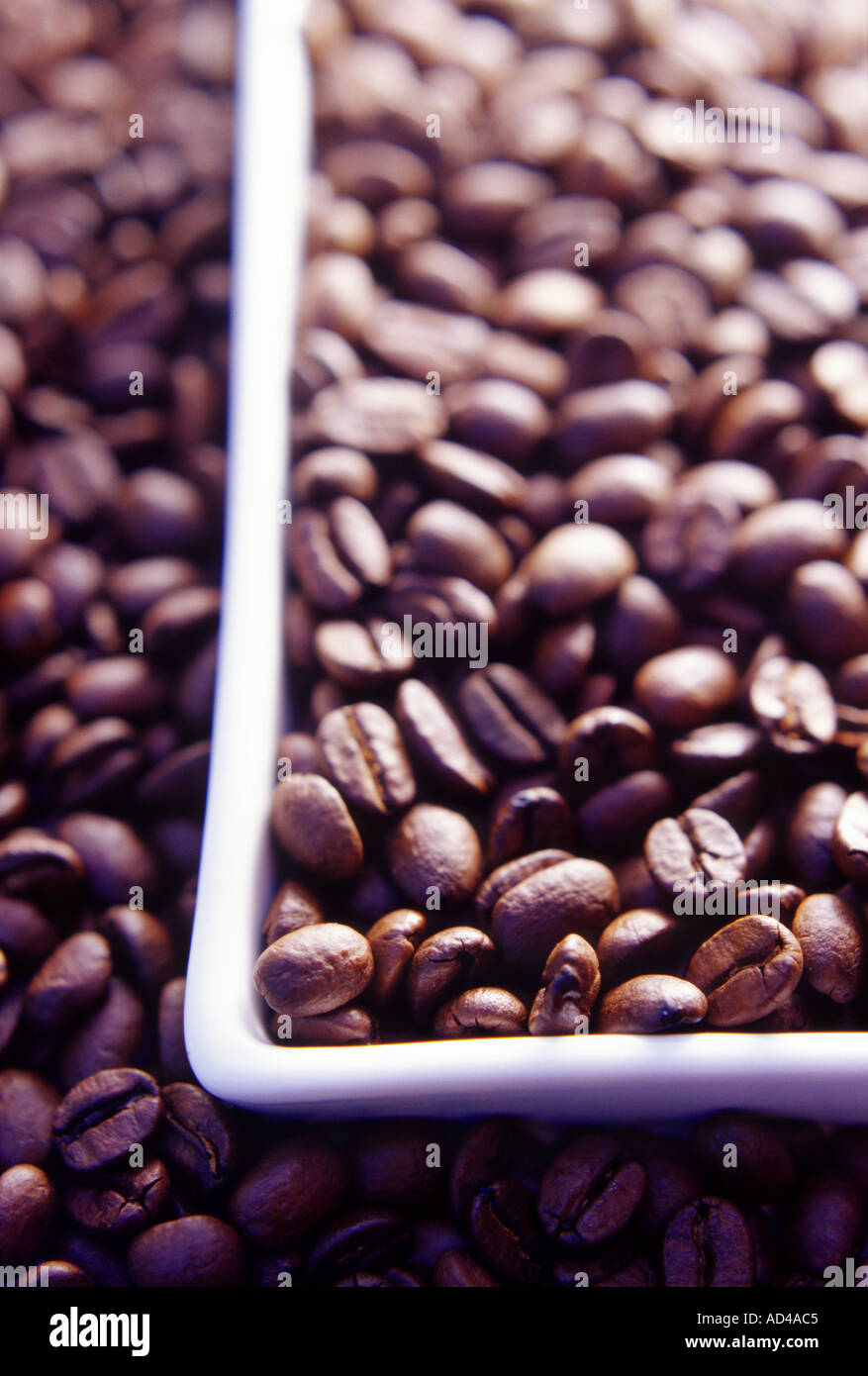 Coffee beans background on a square plate coffee beans off and on the ...