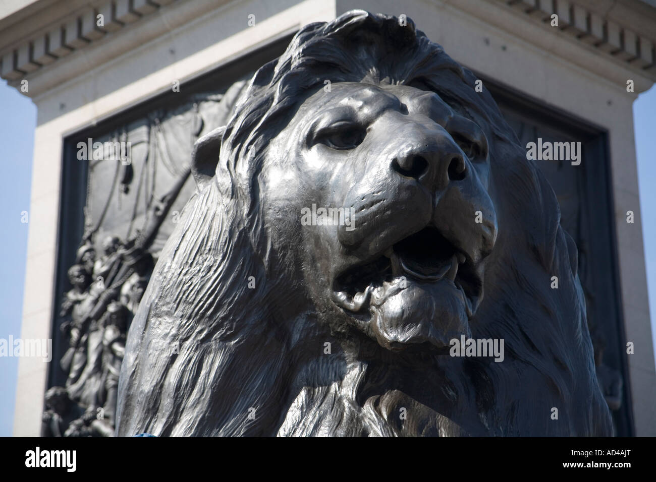 Neslonsaule hi-res stock photography and images - Alamy