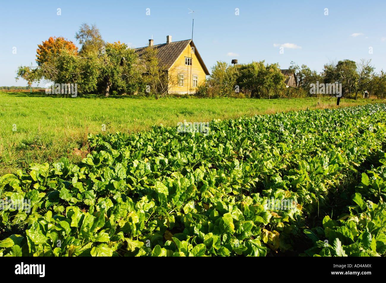 Estonia Baltic States Lahemaa National Park Rural Countryside Farm ...