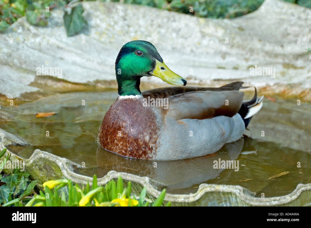 Little round pond hi-res stock photography and images - Alamy