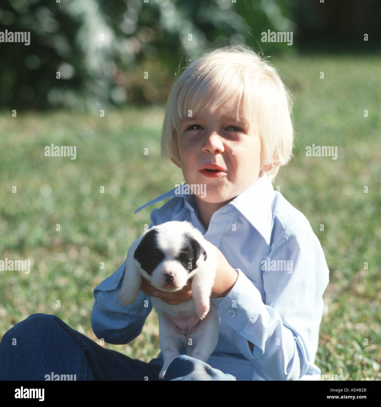 Boy and new puppy hi-res stock photography and images - Alamy