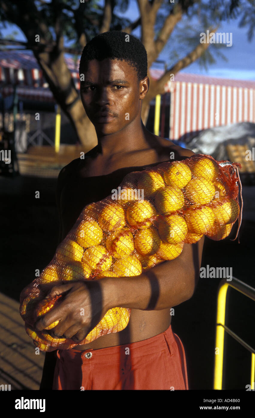 SOUTH AFRICA PACKING ORANGES NORTHERN PROVINCE Stock Photo - Alamy