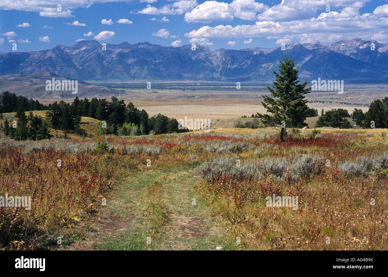 Wyoming landschaften hi-res stock photography and images - Alamy