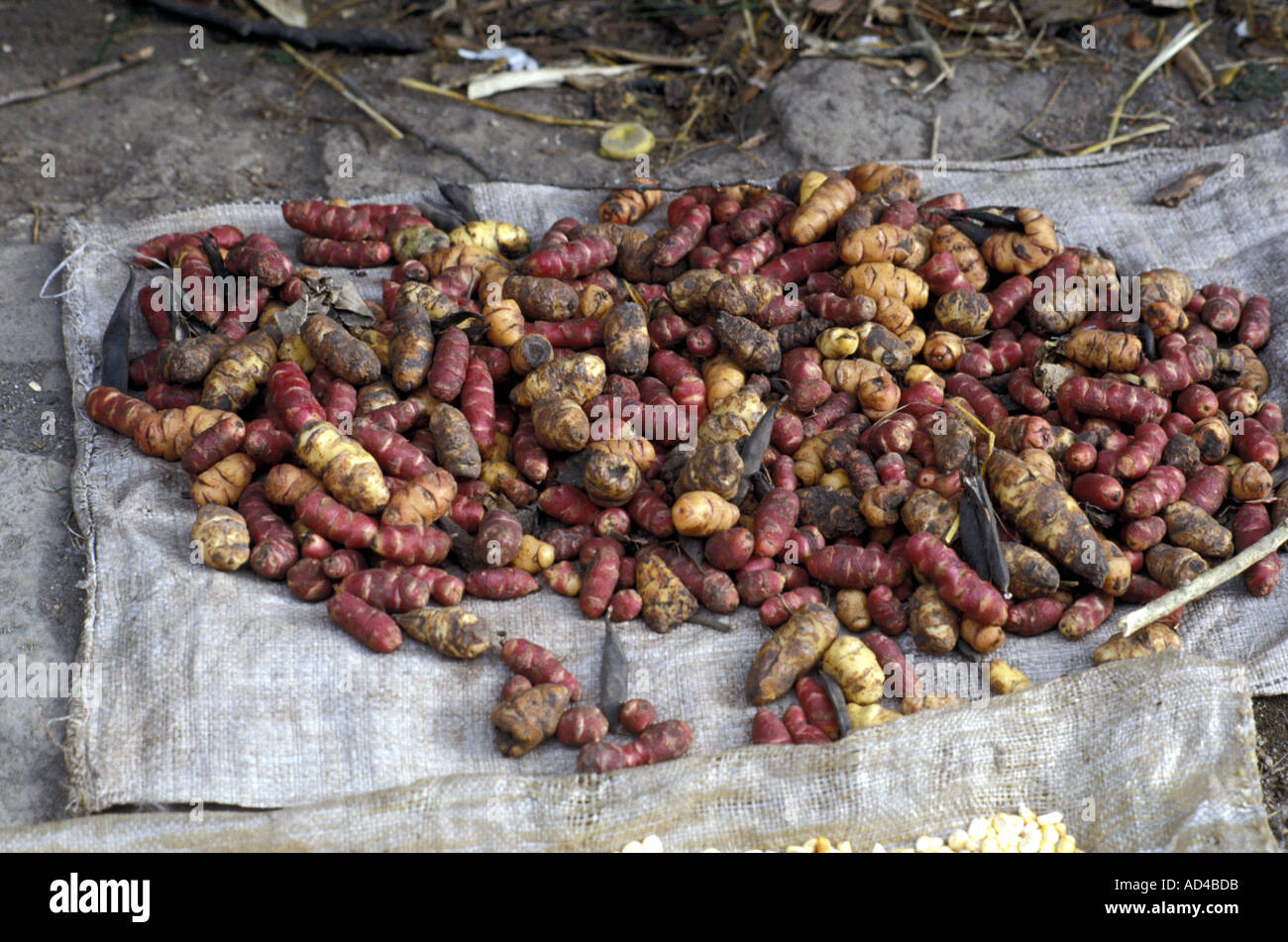 Chuno or moraya hi-res stock photography and images - Alamy