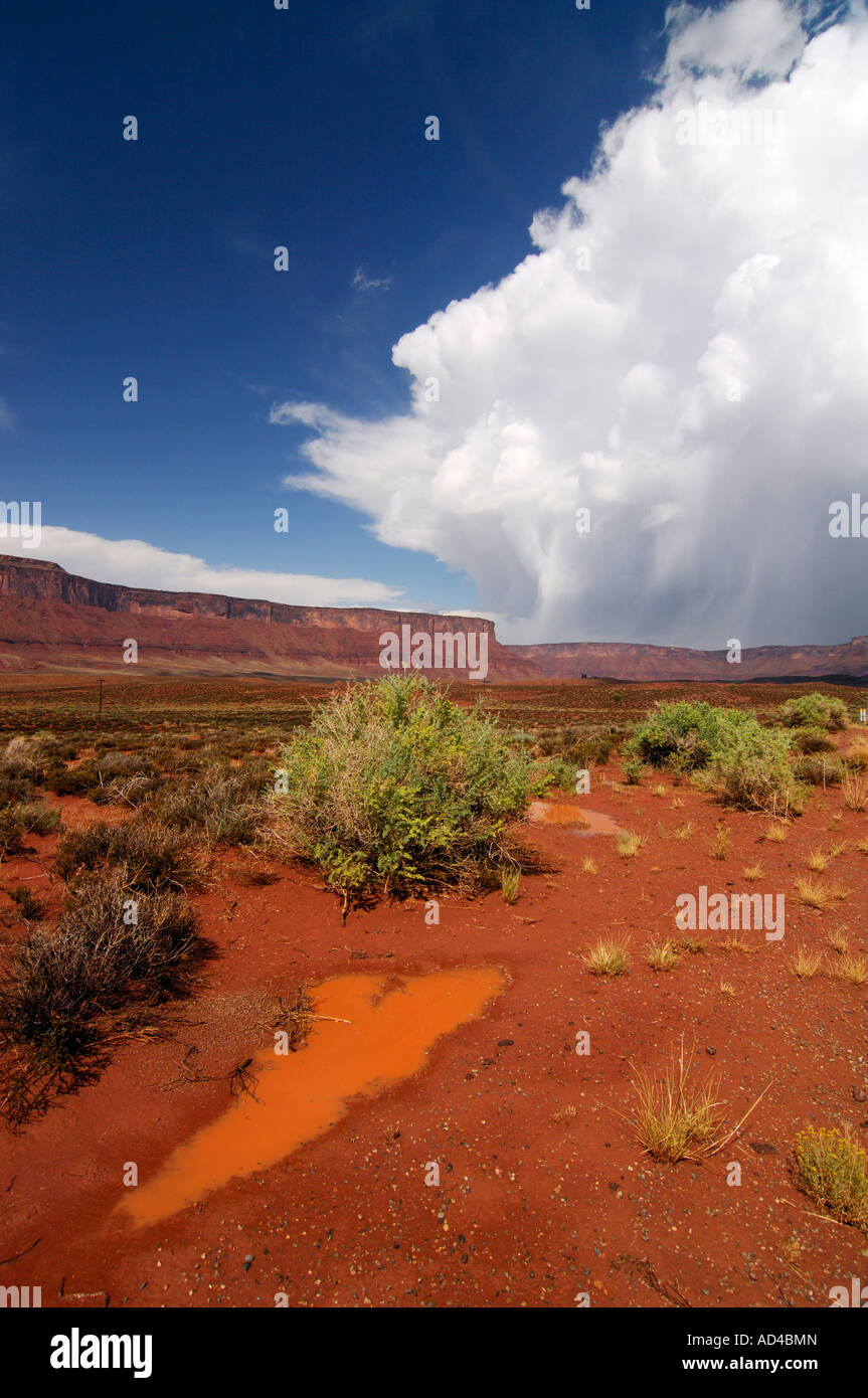 Thunder storms united states hi-res stock photography and images - Alamy