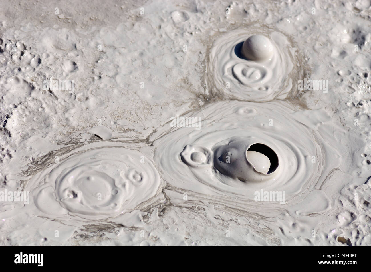 Mud geyser, Yellowstone national park, Wyoming, USA Stock Photo - Alamy